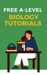 Controlling Heart Rate (A-level Biology) - Study Mind