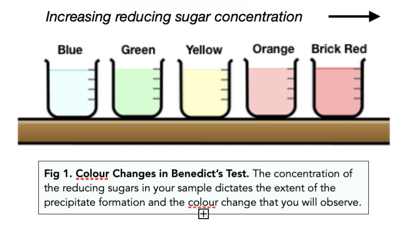 ᐉ Tests for Carbohydrates: Learn More About Sugar Tests!