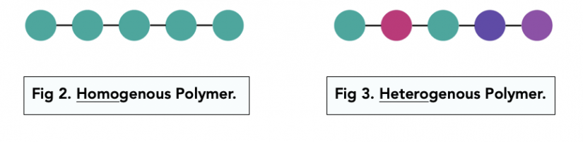 Biological Molecules (A-level Biology) - Study Mind
