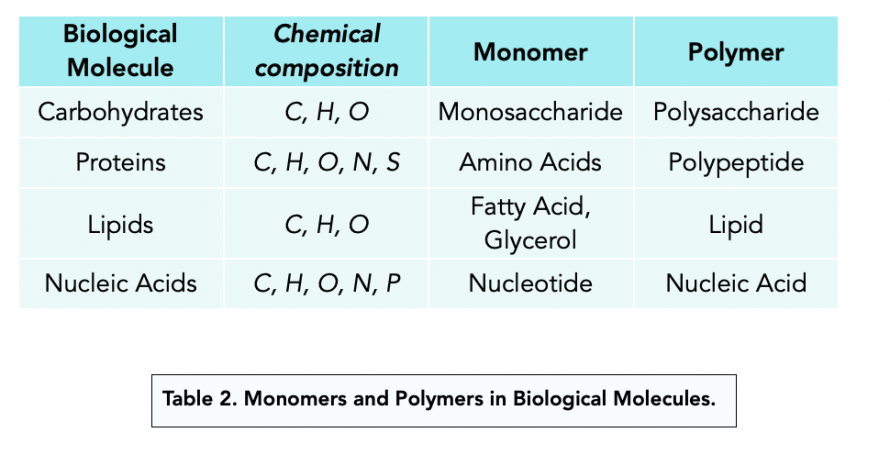 Biological Molecules (A-level Biology) - Study Mind