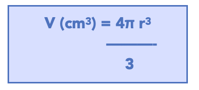 Understanding Surface Area to Volume Ratio (A-level Biology) - Study Mind