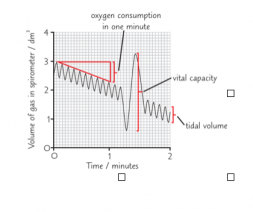 Pulmonary Ventilation Rate (A-level Biology) - Study Mind