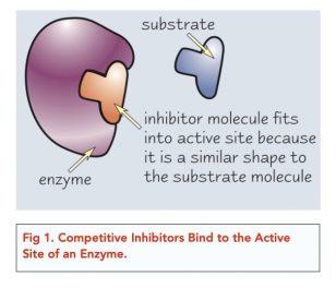 Enzymes: Inhibitors (A-level Biology) - Study Mind