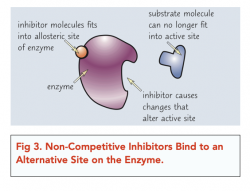 Enzymes: Inhibitors (A-level Biology) - Study Mind