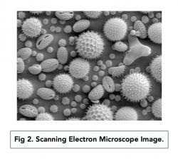 Studying Cells: Electron Microscopes (A-level Biology) - Study Mind