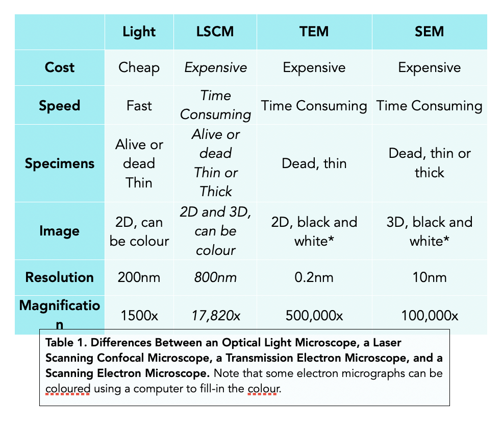 Studying Cells: Confocal Microscopes (A-level Biology) - Study Mind