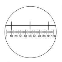 ᐉ How to Calculate the Actual Size of Cell? Formula and Examples