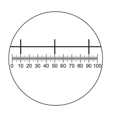 ᐉ How to Calculate the Actual Size of Cell? Formula and Examples