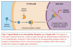 Signalling Across Cell Membranes (A-level Biology) - Study Mind