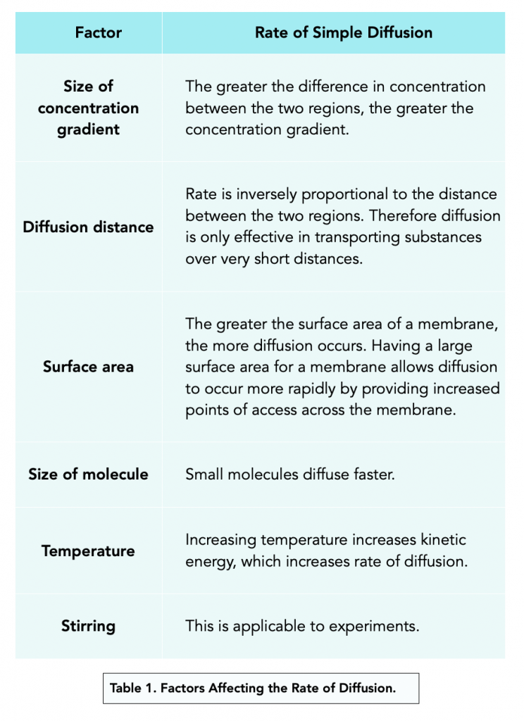 Transport Across Membranes: Diffusion (A-level Biology) - Study Mind