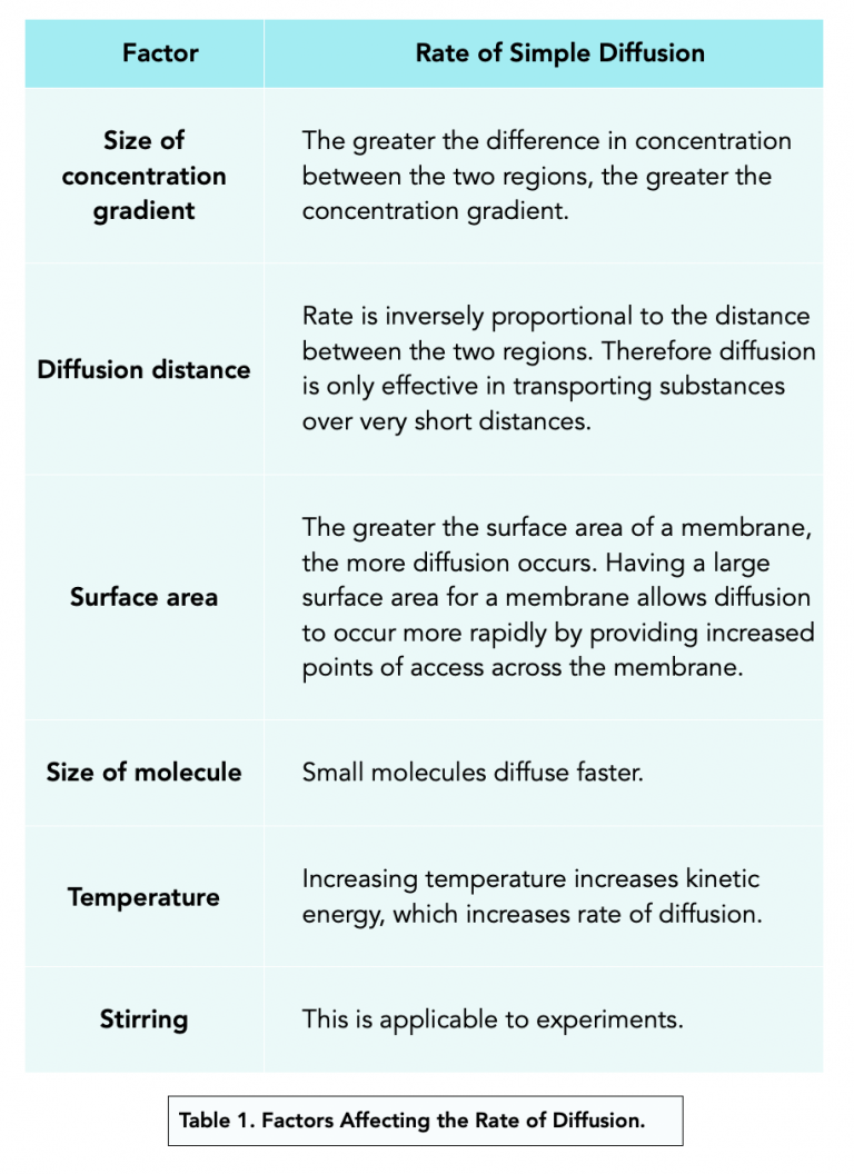 Transport Across Membranes: Diffusion (A-level Biology) - Study Mind Transport Across Membranes: Diffusion (A-level Biology) - Study Mind