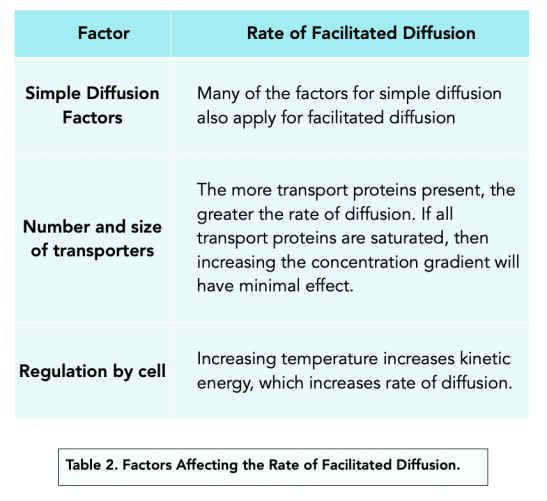 Transport Across Membranes: Diffusion (A-level Biology) - Study Mind