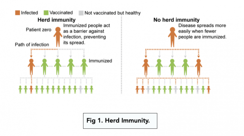 Types of Immunity and Vaccinations (A-level Biology) - Study Mind
