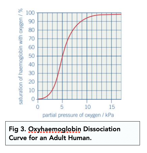 Transport of Oxygen (A-level Biology) - Study Mind