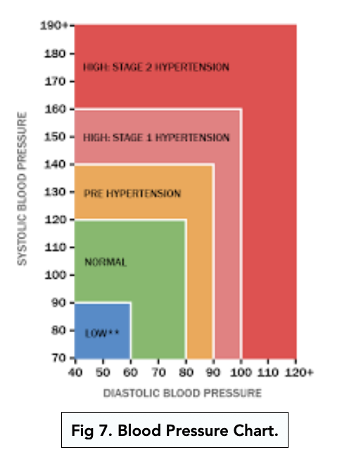 Structure of The Heart (A-level Biology) - Study Mind