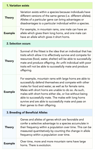 Mechanism of Natural Selection (A-level Biology) - Study Mind