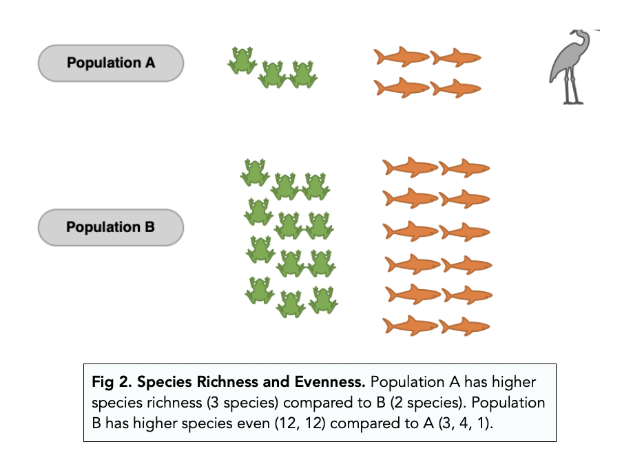 Introducing Biodiversity (A-level Biology) - Study Mind