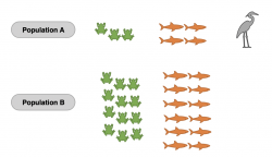 Biodiversity Calculations (A-level Biology) - Study Mind