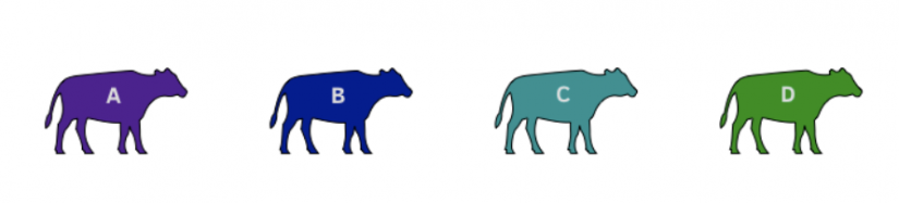 Calculating Genetic Diversity (A-level Biology) - Study Mind