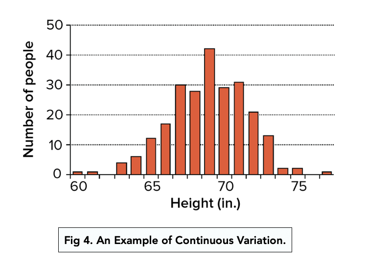 Biodiversity and Gene Technology (A-level Biology) - Study Mind