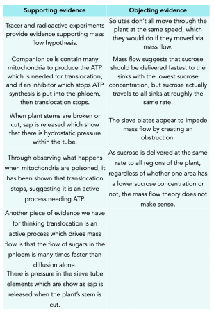 Translocation and Evidence of the Mass Flow Hypothesis (A-level Biology ...