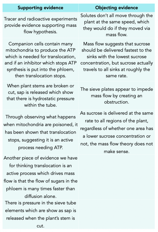 Translocation and Evidence of the Mass Flow Hypothesis (A-level Biology ...