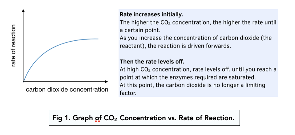Limiting Factors of Photosynthesis (A-level Biology) - Study Mind