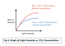 Limiting Factors of Photosynthesis (A-level Biology) - Study Mind