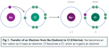 Bonding - Ion Formation (A-Level Chemistry) - Study Mind