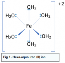 Reactions of Ions in Aqueous Solutions - Metal Ions in Solution (A ...