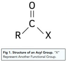 Carboxylic Acids and Derivatives - Acyl Groups (A-Level Chemistry ...
