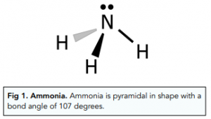 Amines - Introduction to Amines (A-Level Chemistry) - Study Mind