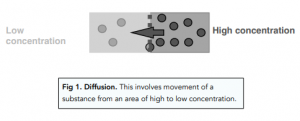 Transport in Cells - Diffusion - (GCSE Biology) - Study Mind