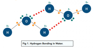 Bonding - Hydrogen Bonding in Water (A-Level Chemistry) - Study Mind