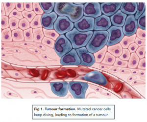 Cancer (GCSE Biology) - Study Mind