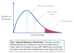 Kinetics - The Maxwell–Boltzmann Distribution and Catalysts (A-Level ...