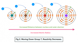 The Halogens - Reactions with Halogens (A-Level Chemistry) - Study Mind