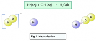 Acids and Bases - Neutralisation Reactions (A-Level Chemistry) - Study Mind