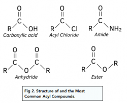 Carboxylic Acids and Derivatives - Acyl Groups (A-Level Chemistry ...