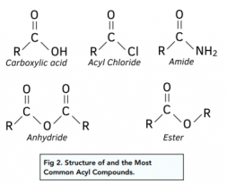 Carboxylic Acids and Derivatives - Acyl Groups (A-Level Chemistry) - Study Mind