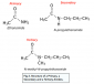 Carboxylic Acids and Derivatives - Structure of Amides (A-Level ...