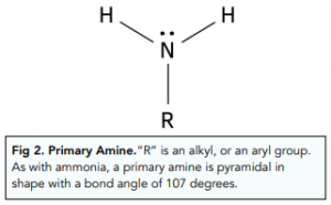 Amines - Introduction to Amines (A-Level Chemistry) - Study Mind
