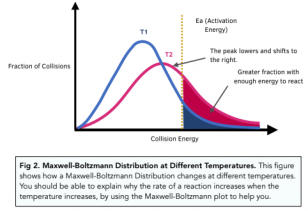 Kinetics - The Maxwell–Boltzmann Distribution and Catalysts (A-Level ...