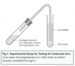 The Halogens - Testing for Ions (A-Level Chemistry) - Study Mind