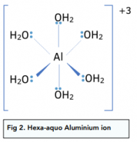 Reactions of Ions in Aqueous Solutions - Metal Ions in Solution (A ...