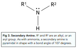 Amines - Introduction to Amines (A-Level Chemistry) - Study Mind