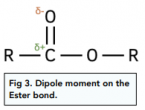 Condensation Polymers (A-Level Chemistry) - Study Mind