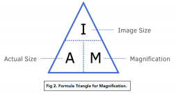 Microscopes & Cultures - Magnification and Unit Conversions (GCSE ...