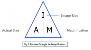 Microscopes & Cultures - Magnification and Unit Conversions (GCSE ...