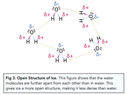 Bonding - Hydrogen Bonding in Water (A-Level Chemistry) - Study Mind